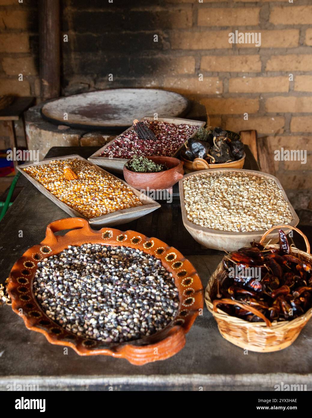 Variety of native corn races from the Oaxaca region in Mexico Stock ...