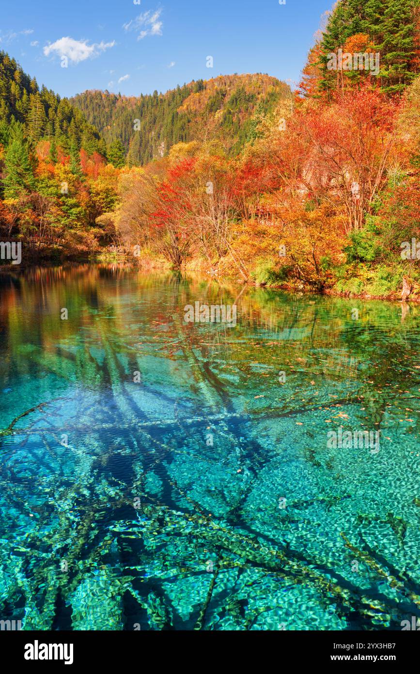 Jiuzhaigou national park five flower hi-res stock photography and ...