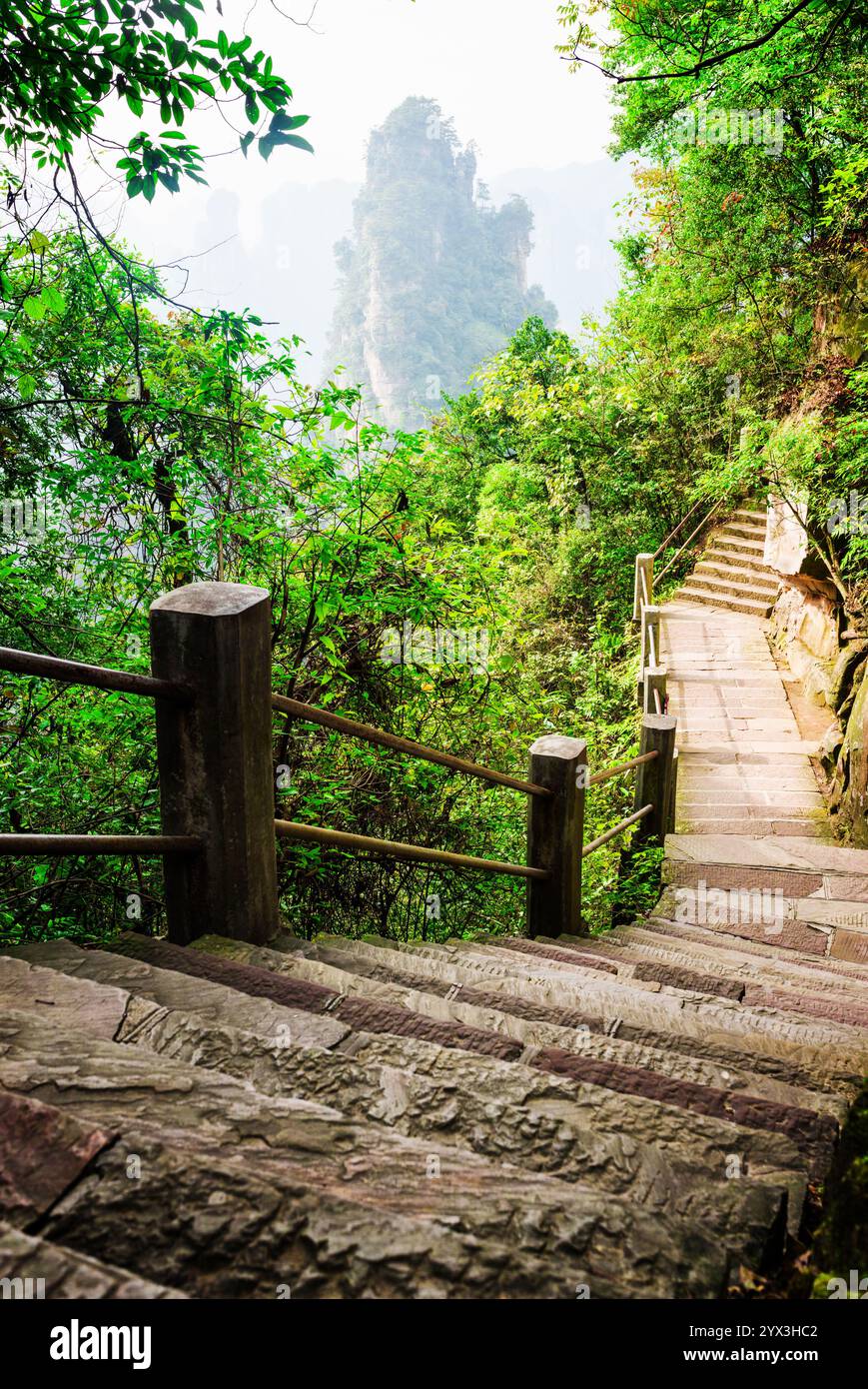 Rock stair trail in forest hi-res stock photography and images - Alamy