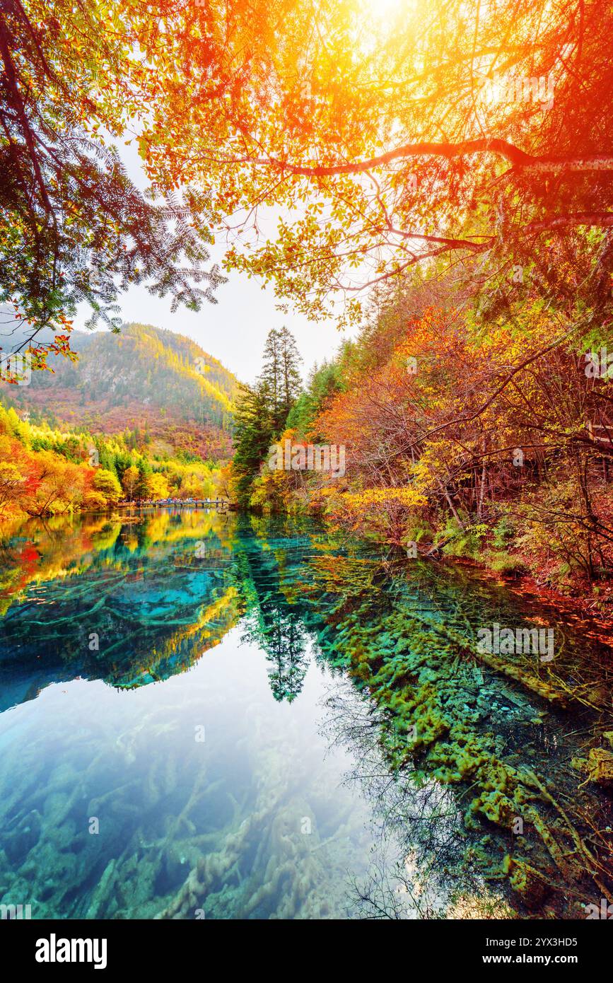 The Five Flower Lake among fall woods, Jiuzhaigou nature reserve Stock ...