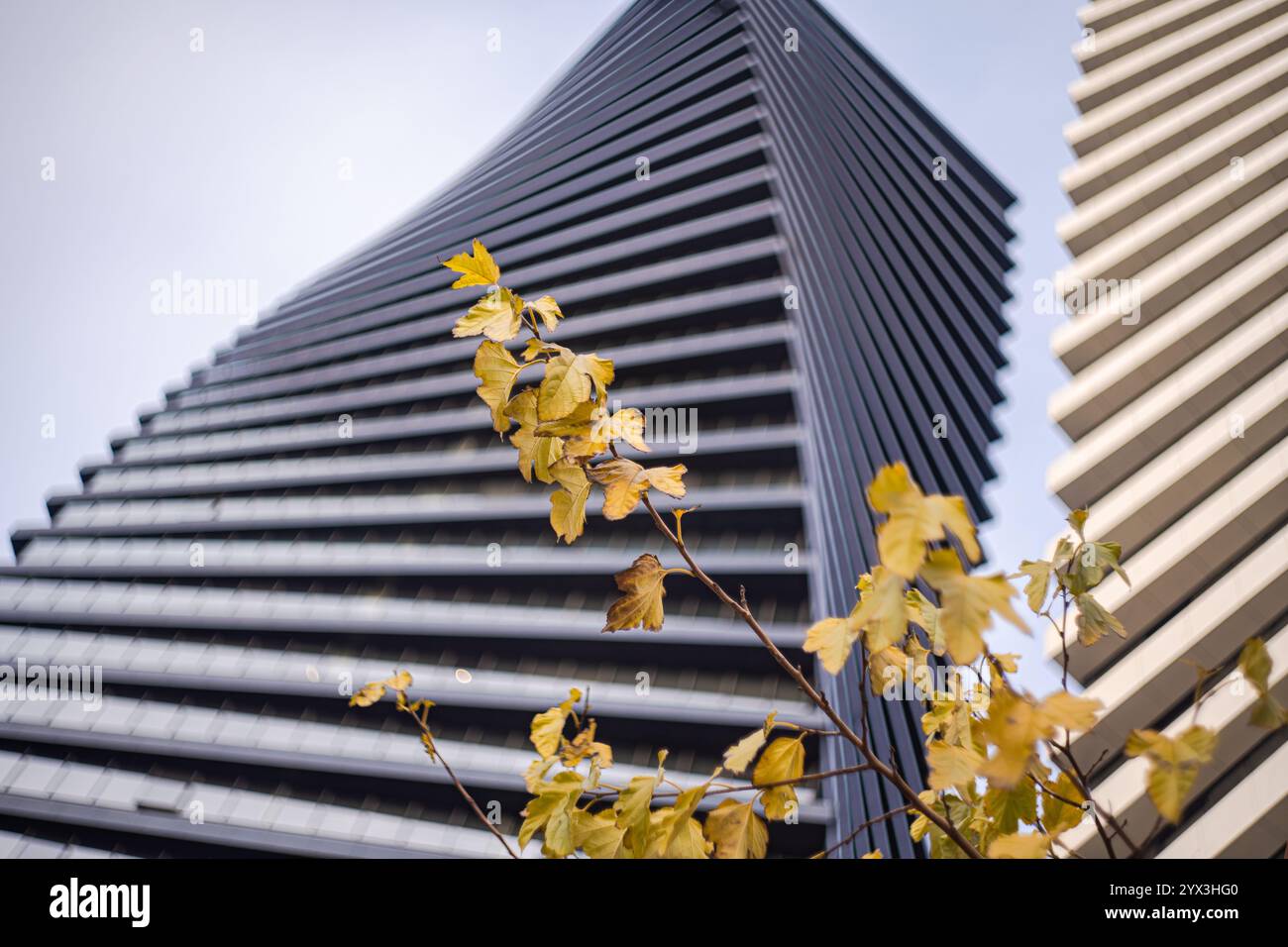 Axis towers hi-res stock photography and images - Alamy