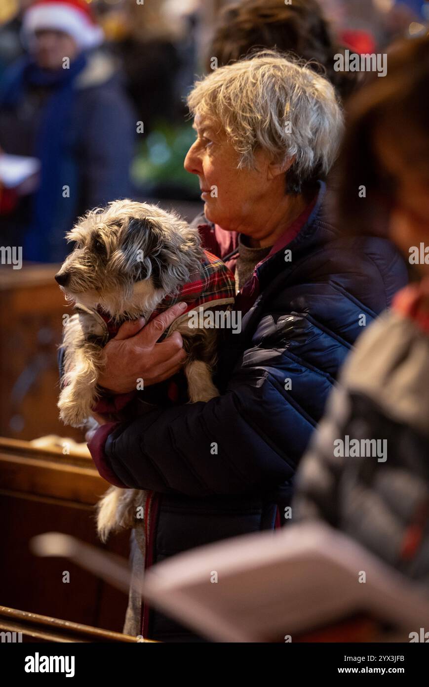 09/12/24 Dozens of dogs - many dressed in their finest festive costumes ...