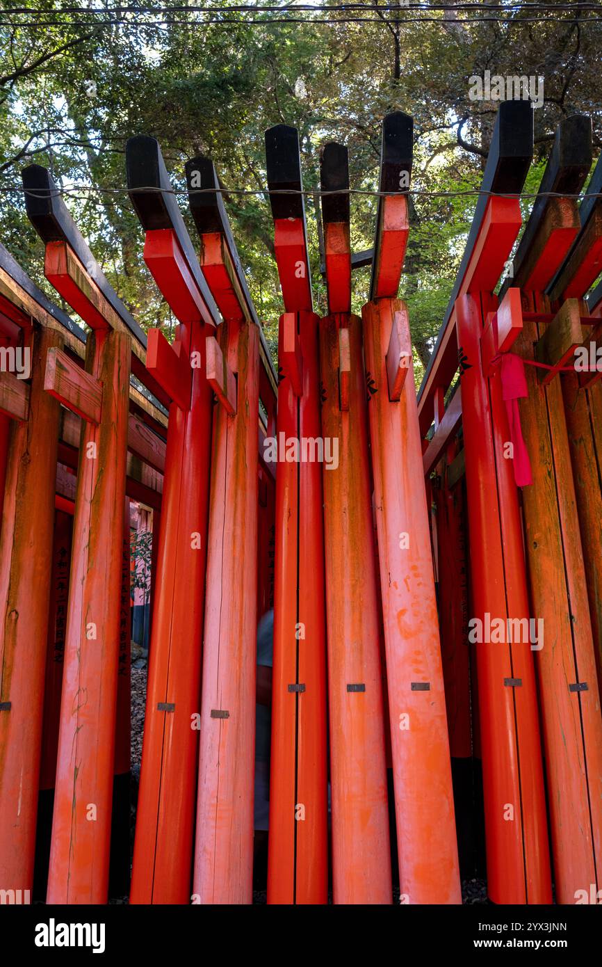 Side view of a group of tightly constructed red tori gates Stock Photo ...