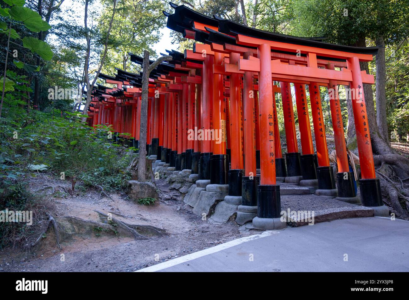Red tori gates form a pathway at the Fushimi Inari Taisha temple Stock ...
