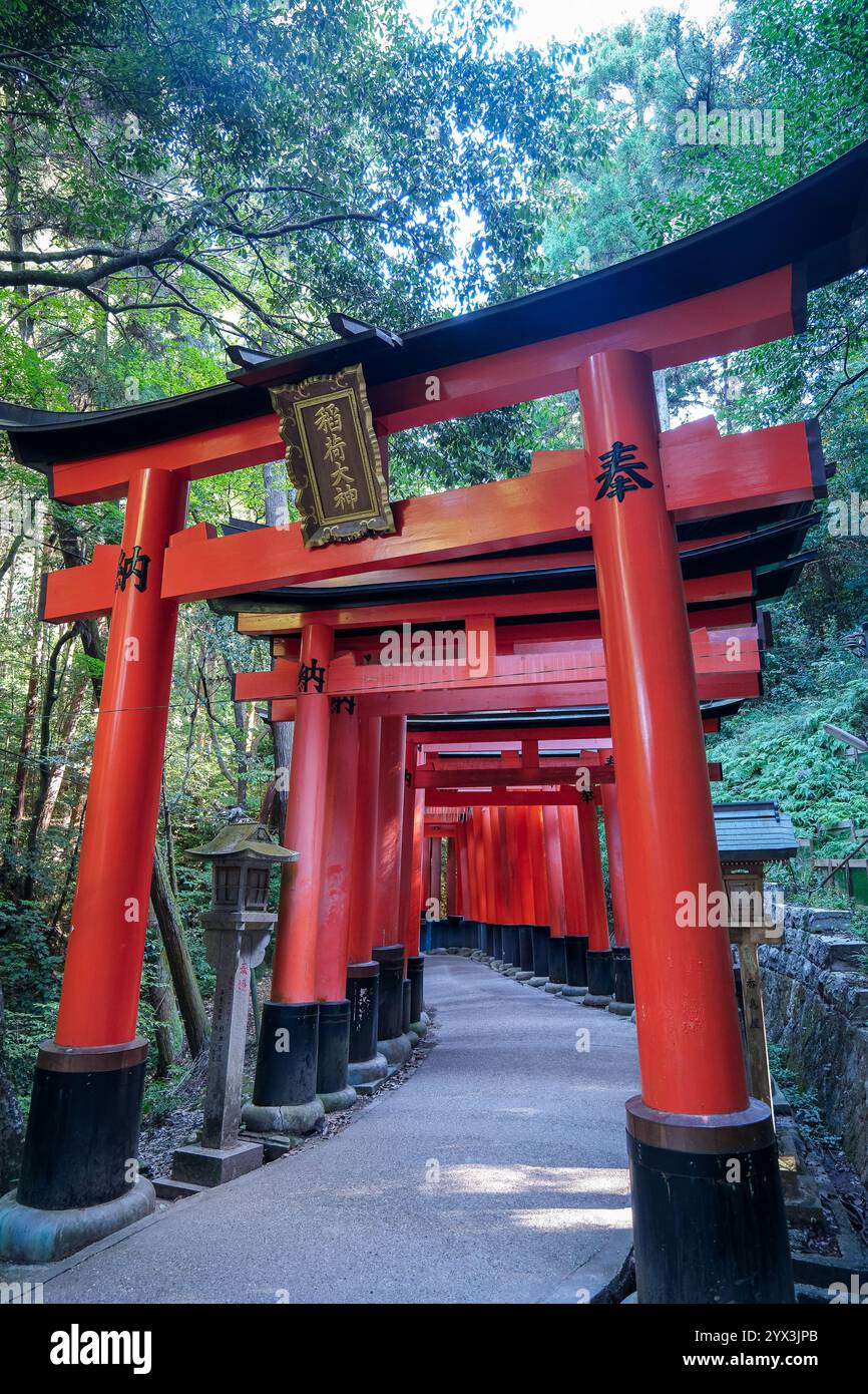 Tori black hi-res stock photography and images - Alamy