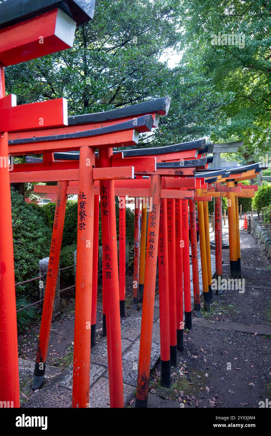 Red tori gates line a pathway in a park Stock Photo - Alamy