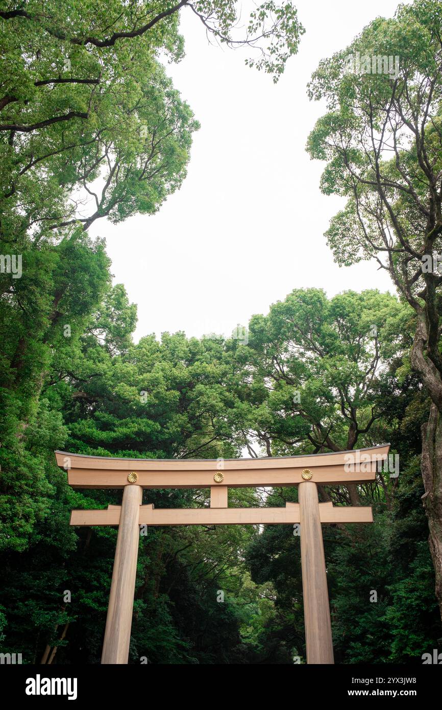 Large structure stands hi-res stock photography and images - Alamy