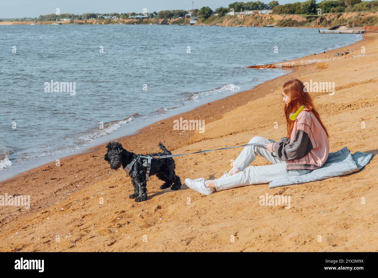 woman finds peace with her dog, busy environments Stock Photo - Alamy