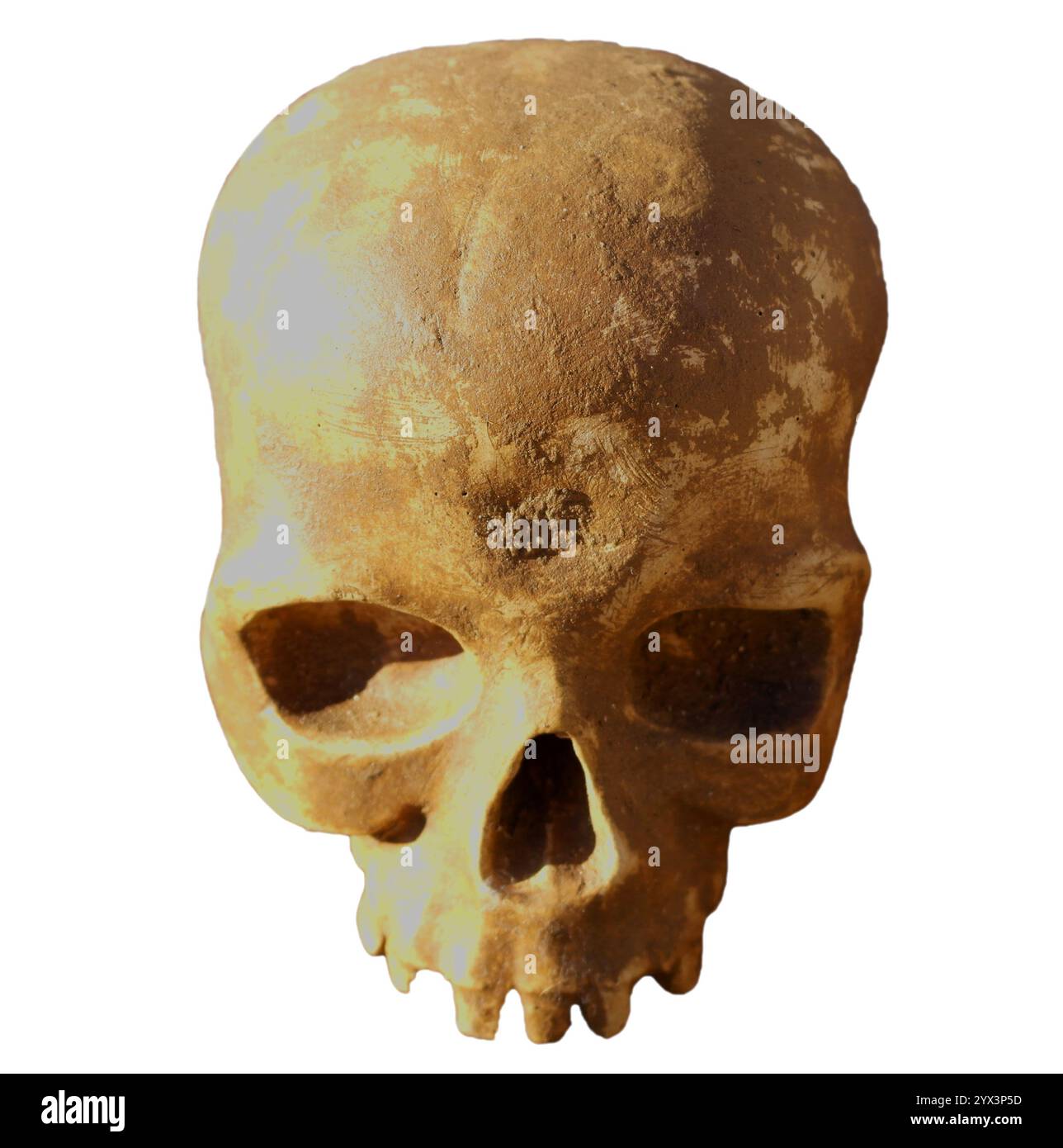 White pumpkin human skull Cut Out Stock Images & Pictures - Alamy