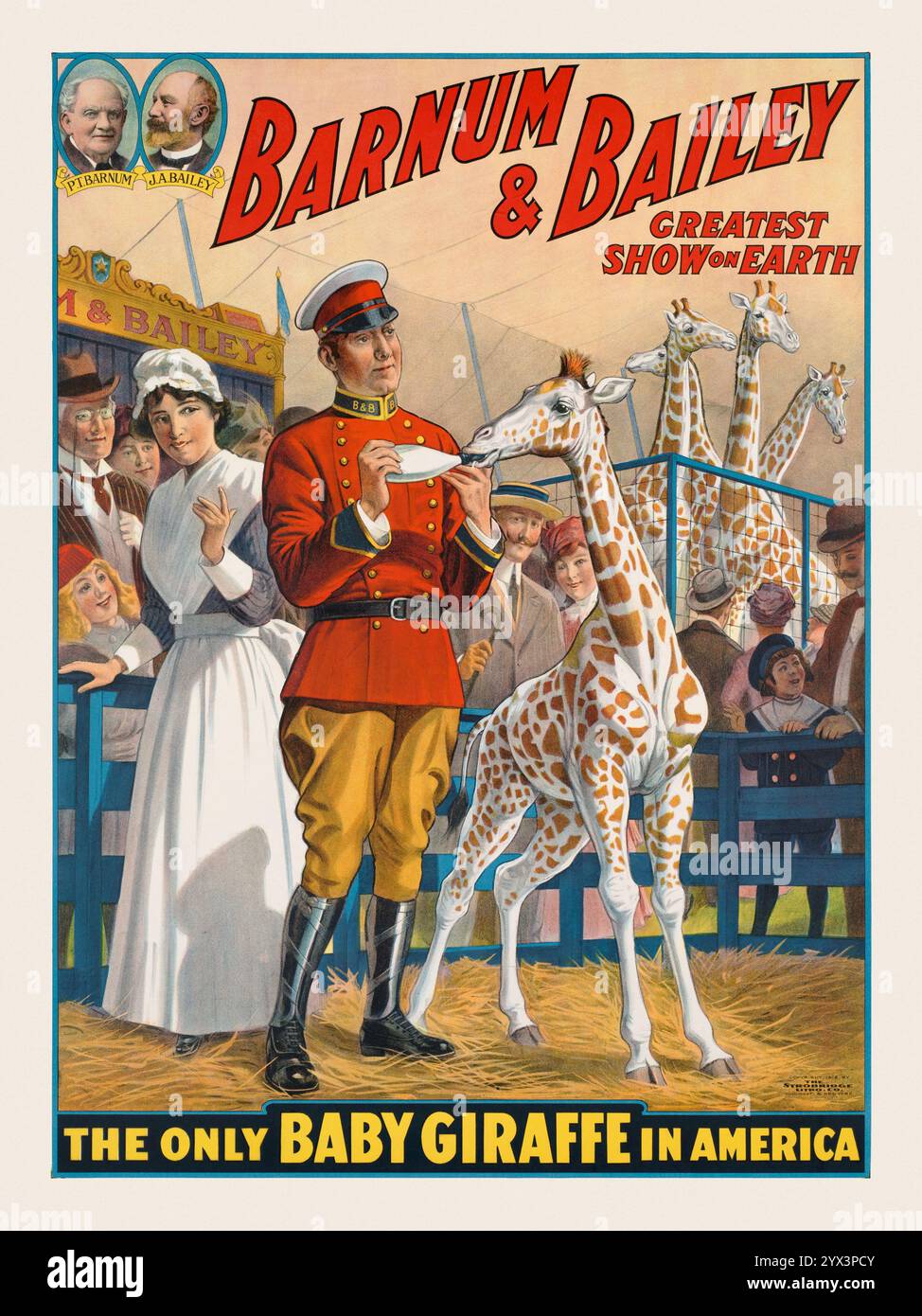 Barnum and bailey hi-res stock photography and images - Alamy
