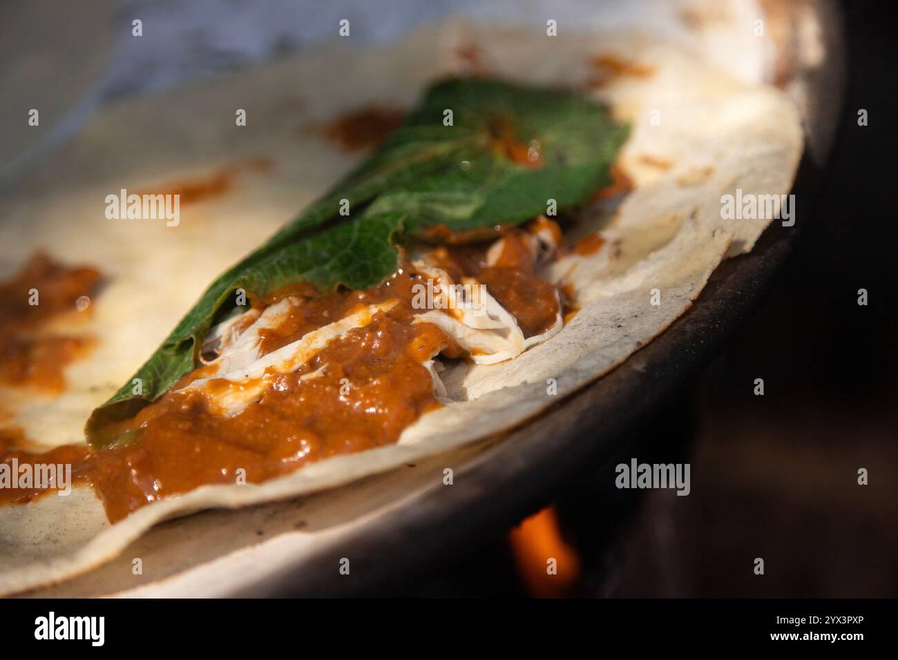 Mexican quesadillas with tomato, squash blossoms and hoja santa (piper ...