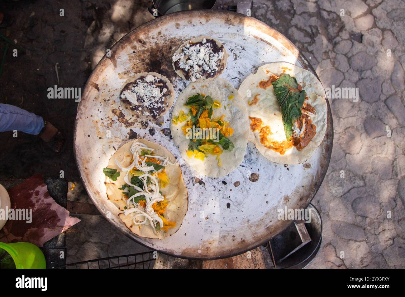 Mexican quesadillas with tomato, squash blossoms and hoja santa (piper ...