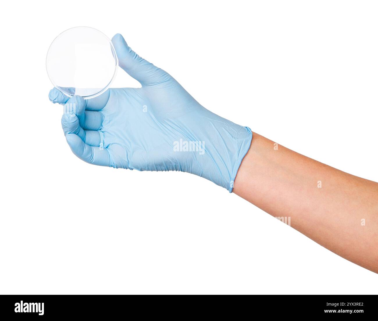 Hand in medical gloves holding a small Petri dish on an empty ...