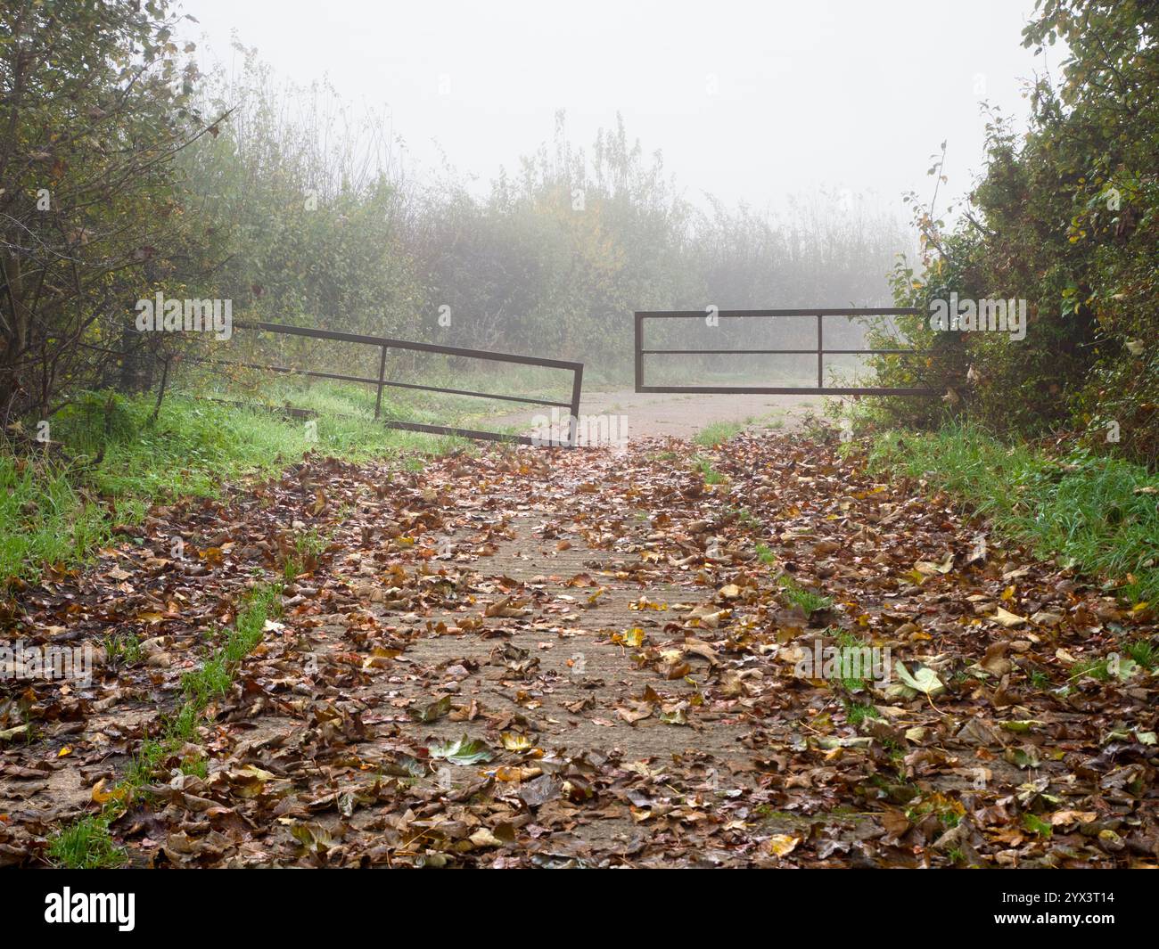 Open farm gate outside Radley Village, misty morning.An open farm gate ...