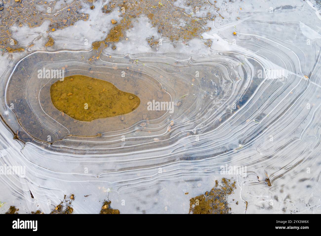 Abstract patterns in nature - frozen puddle at Radley Boathouse by the ...