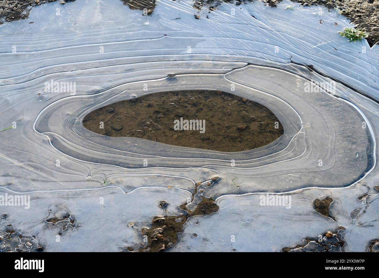 Abstract patterns in nature - frozen puddle at Radley Boathouse by the ...