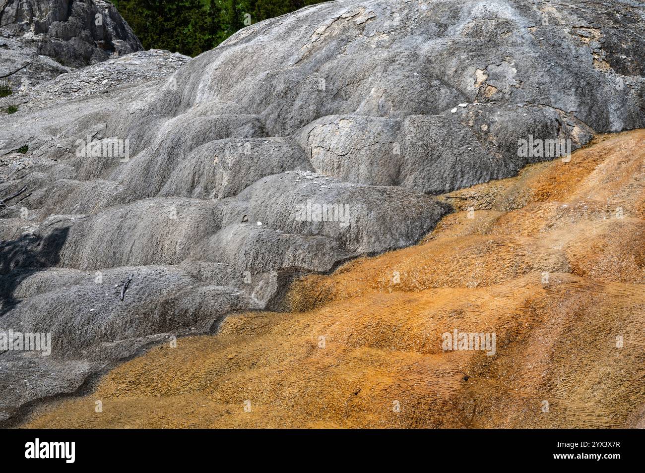 Hot water film title hi-res stock photography and images - Alamy