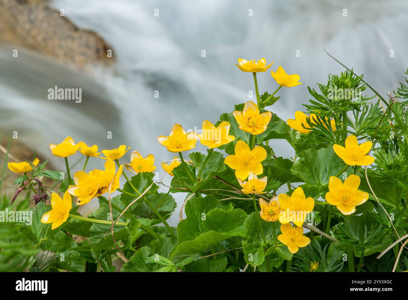 Ercology hi-res stock photography and images - Alamy