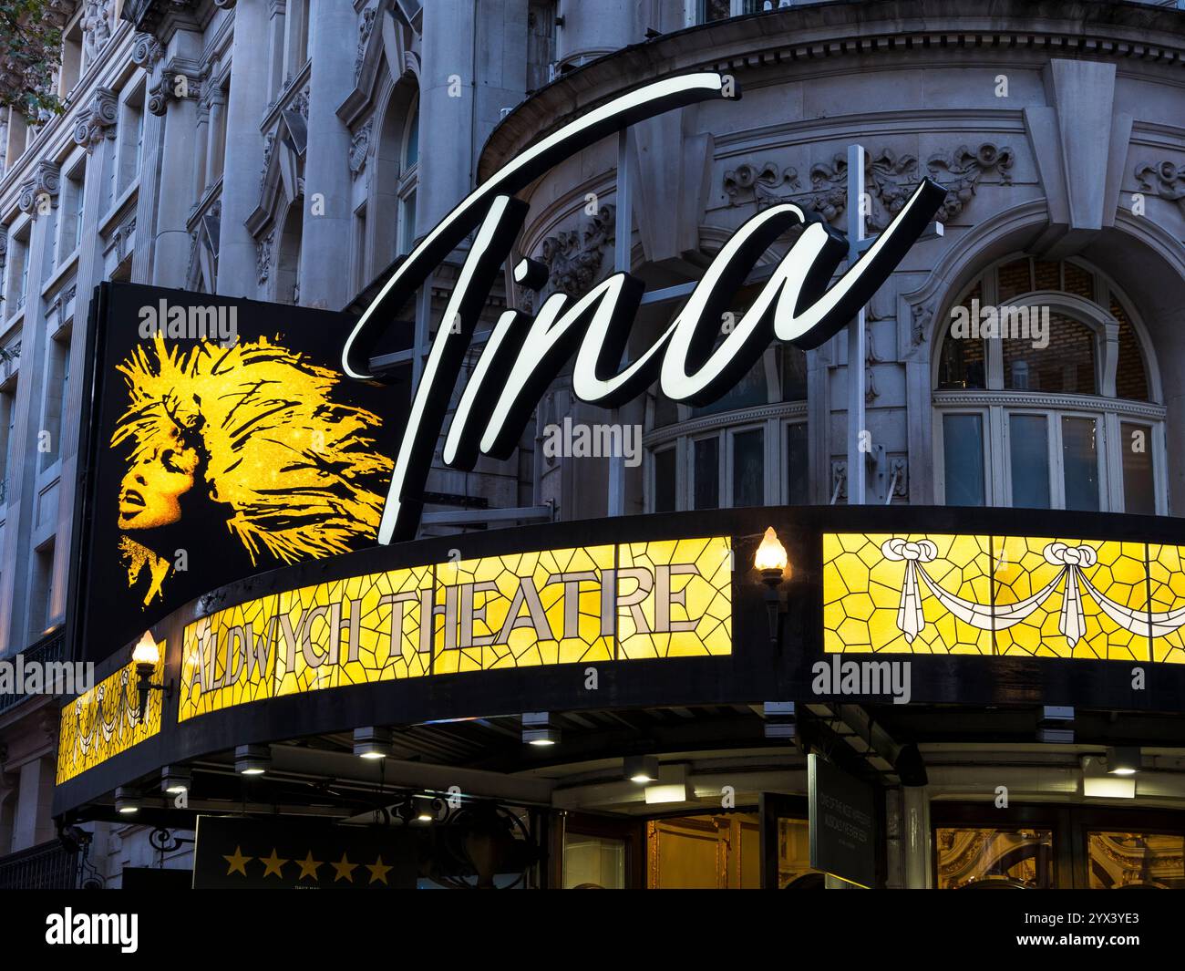 Tina - The Tina Turner Musical, Aldwych Theatre, City of Westminster ...