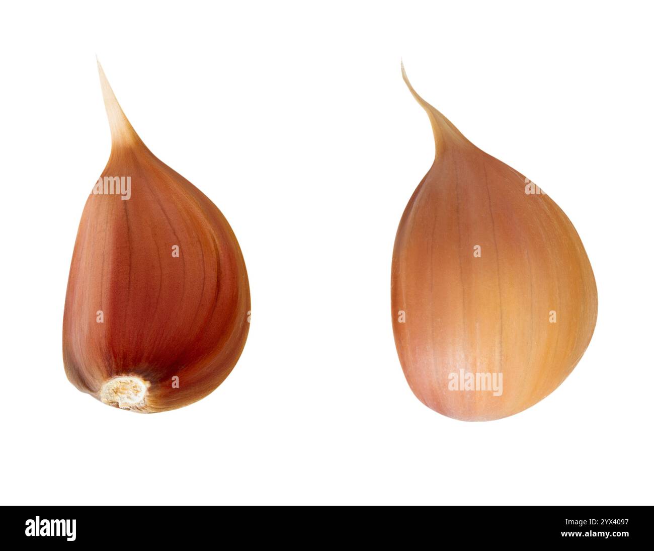 Set.Garlic, one clove of garlic on a blank background Stock Photo - Alamy