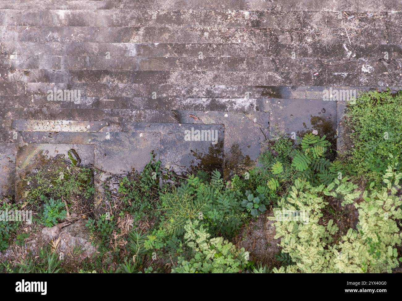 Nakhon Nayok, Thailand - 07 Dec, 2024 - Bird's eye view of Walkway ...