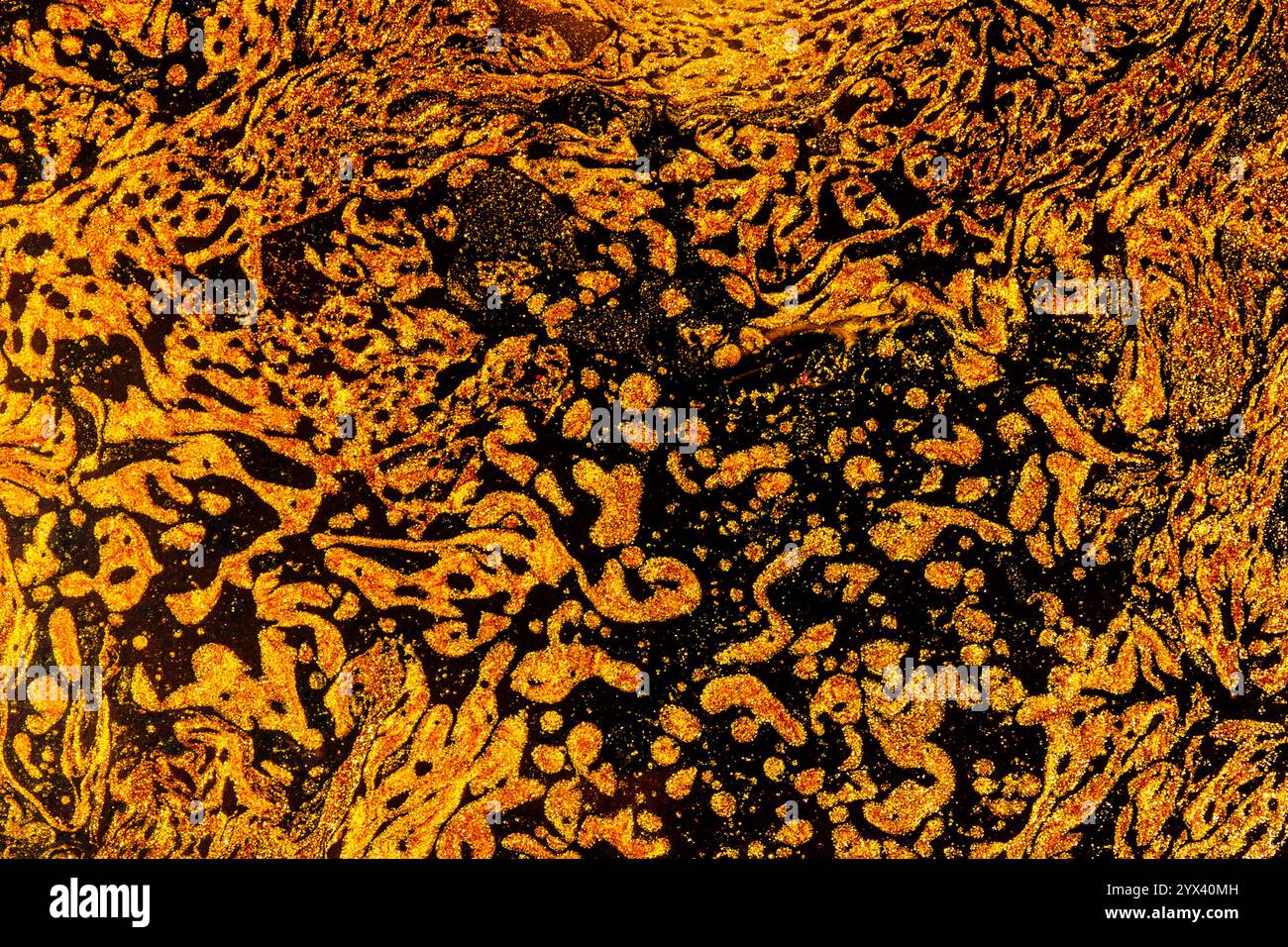Abstract gold background, gold drops on black background, gold ...