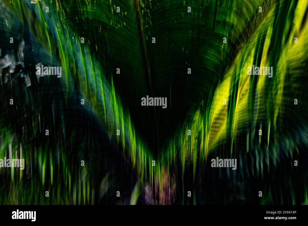 Long exposure abstract art. Photography with camera movement. Fuzzy ...