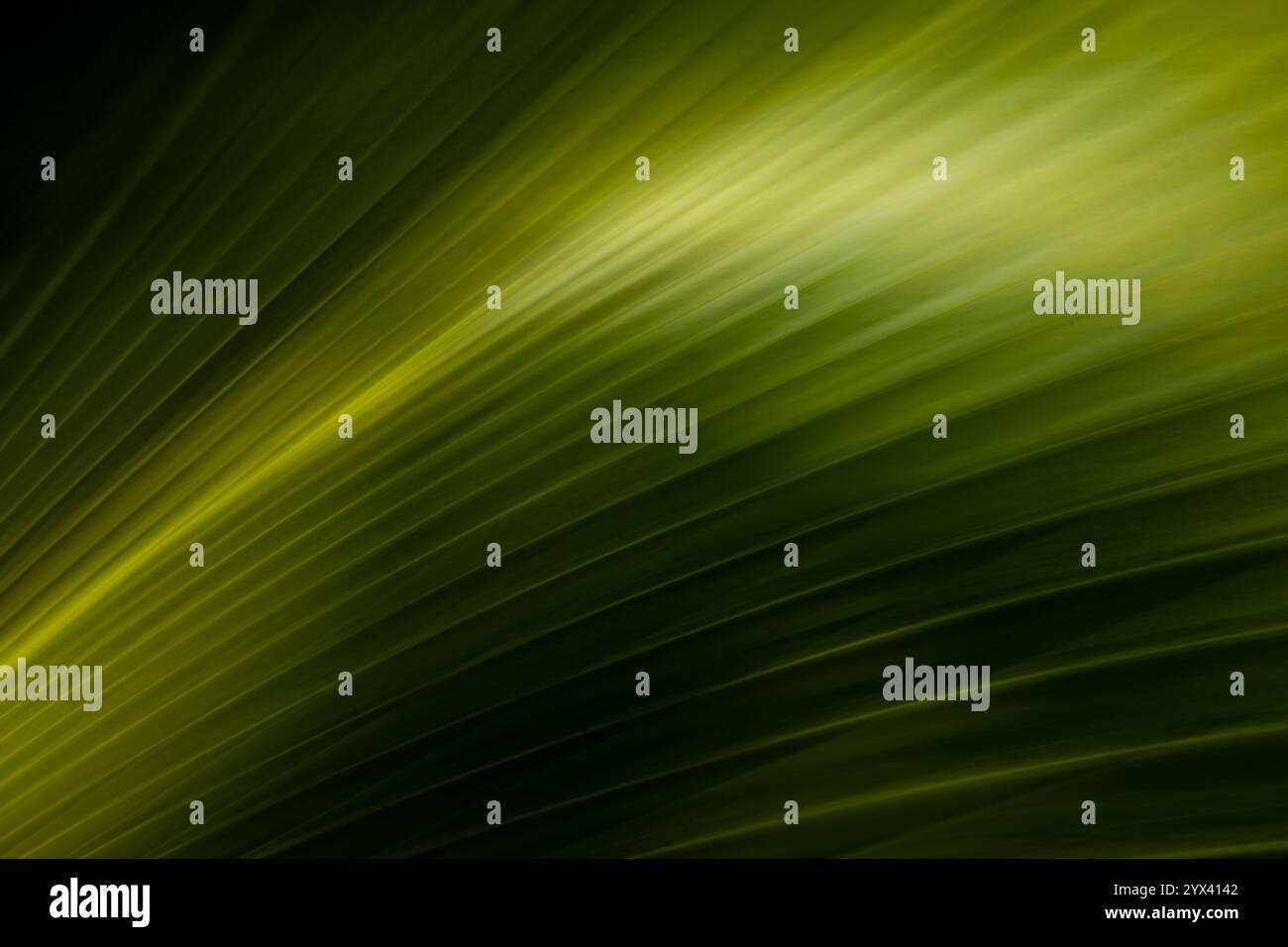 Long exposure abstract art. Photography with camera movement. Fuzzy ...