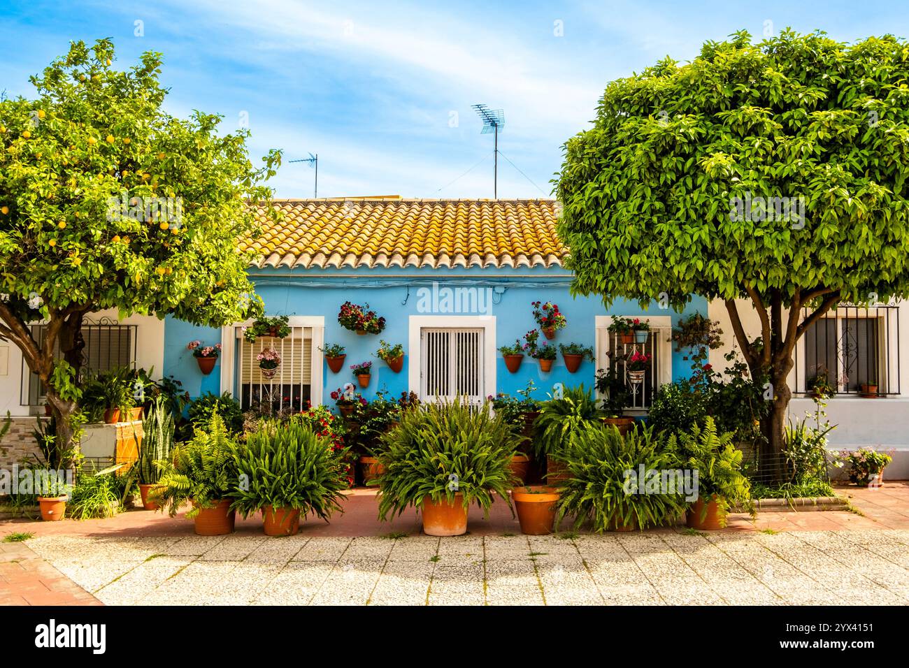 Small courtyard garden pots hi-res stock photography and images - Alamy