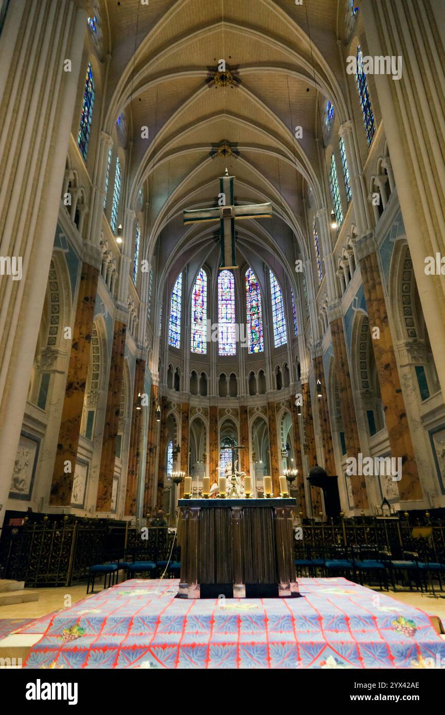 View of the Transept, in Chartres Cathedral, France Stock Photo - Alamy