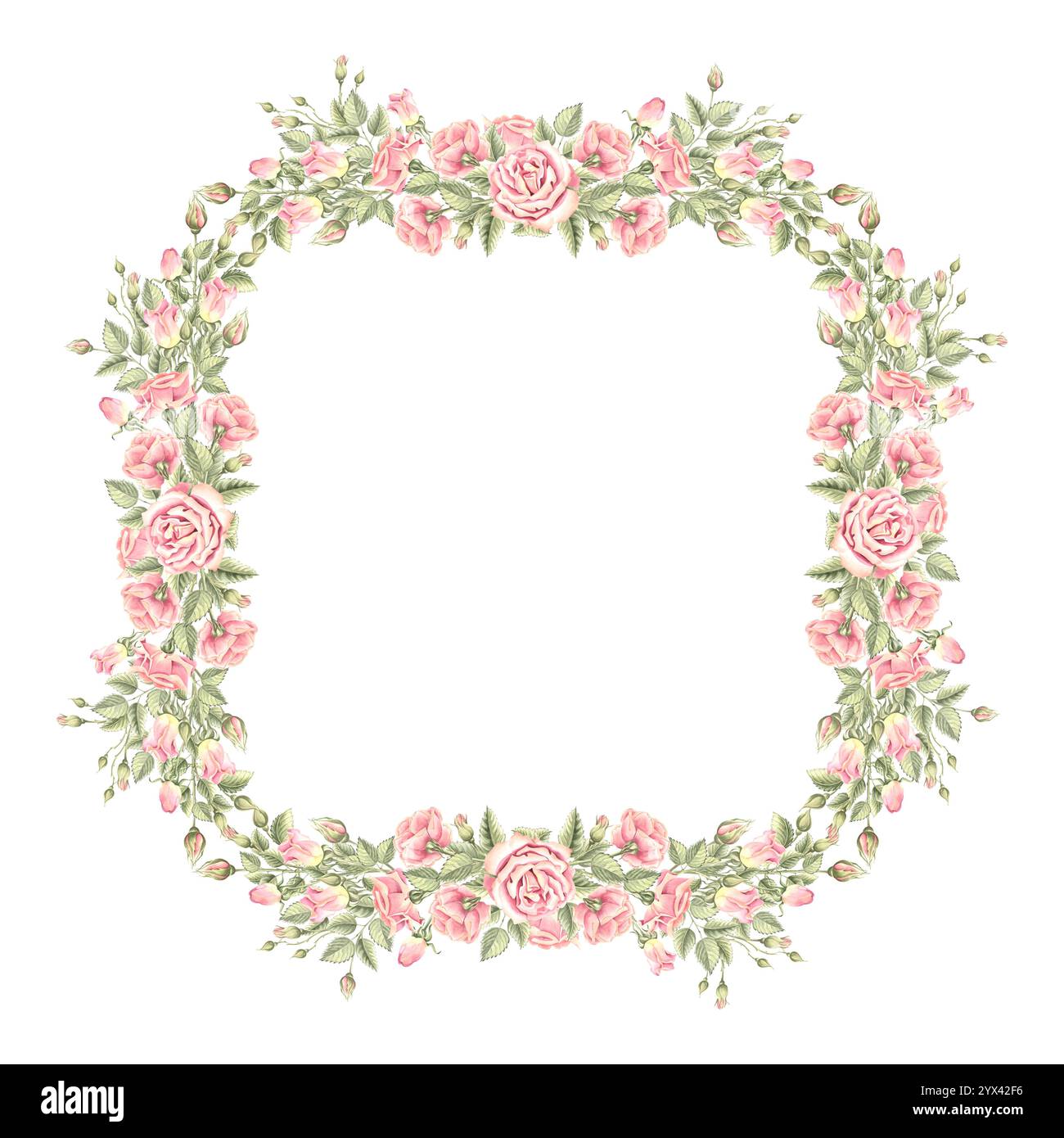 Pink roses with green leaves. Spring flowers square frame, border ...
