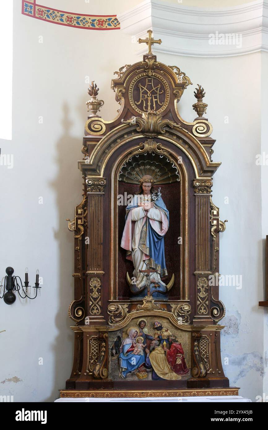 Altar of the Immaculate Conception in the Church of Saint Mary ...