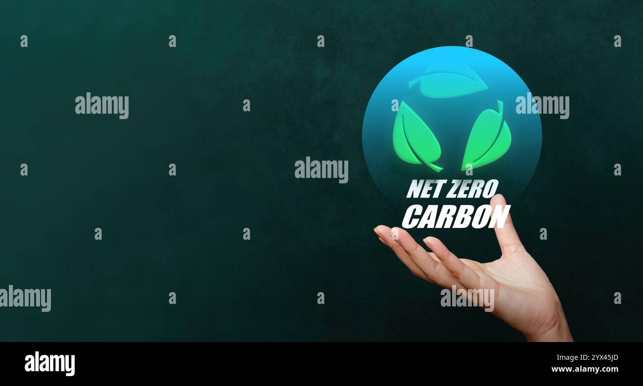 Business net zero carbon transformation, Low carbon economy, Decarbonization and emissions ...