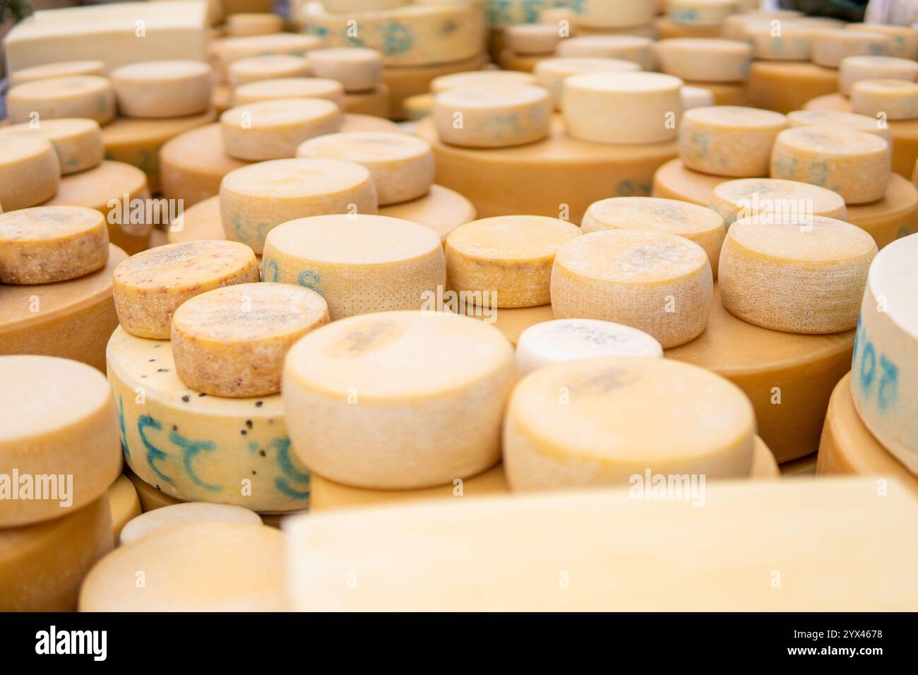 Closeup on piles of Swiss cow cheese heads collected during Desalpe ...