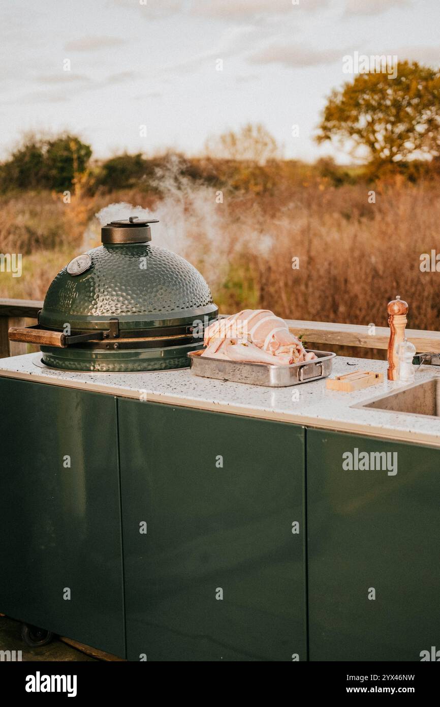 A large green grill is on a counter next to a turkey. The grill is ...