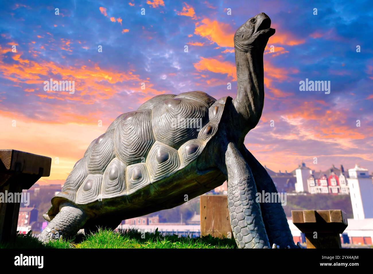Giant tortoise sculpture just off the beach at South Shields against ...