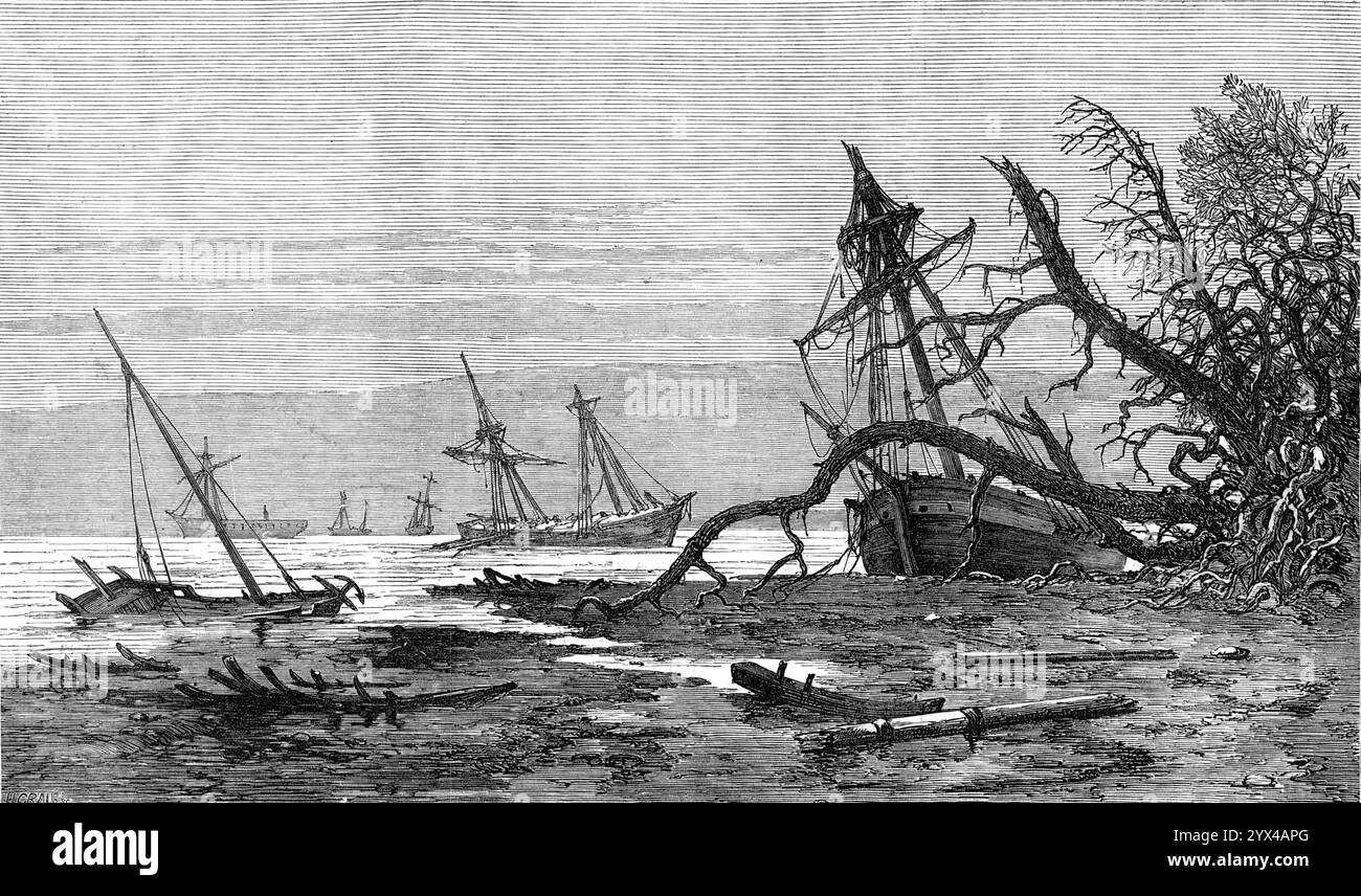 The late storms in the Baltic: scene on the coast of Falster, 1872 ...