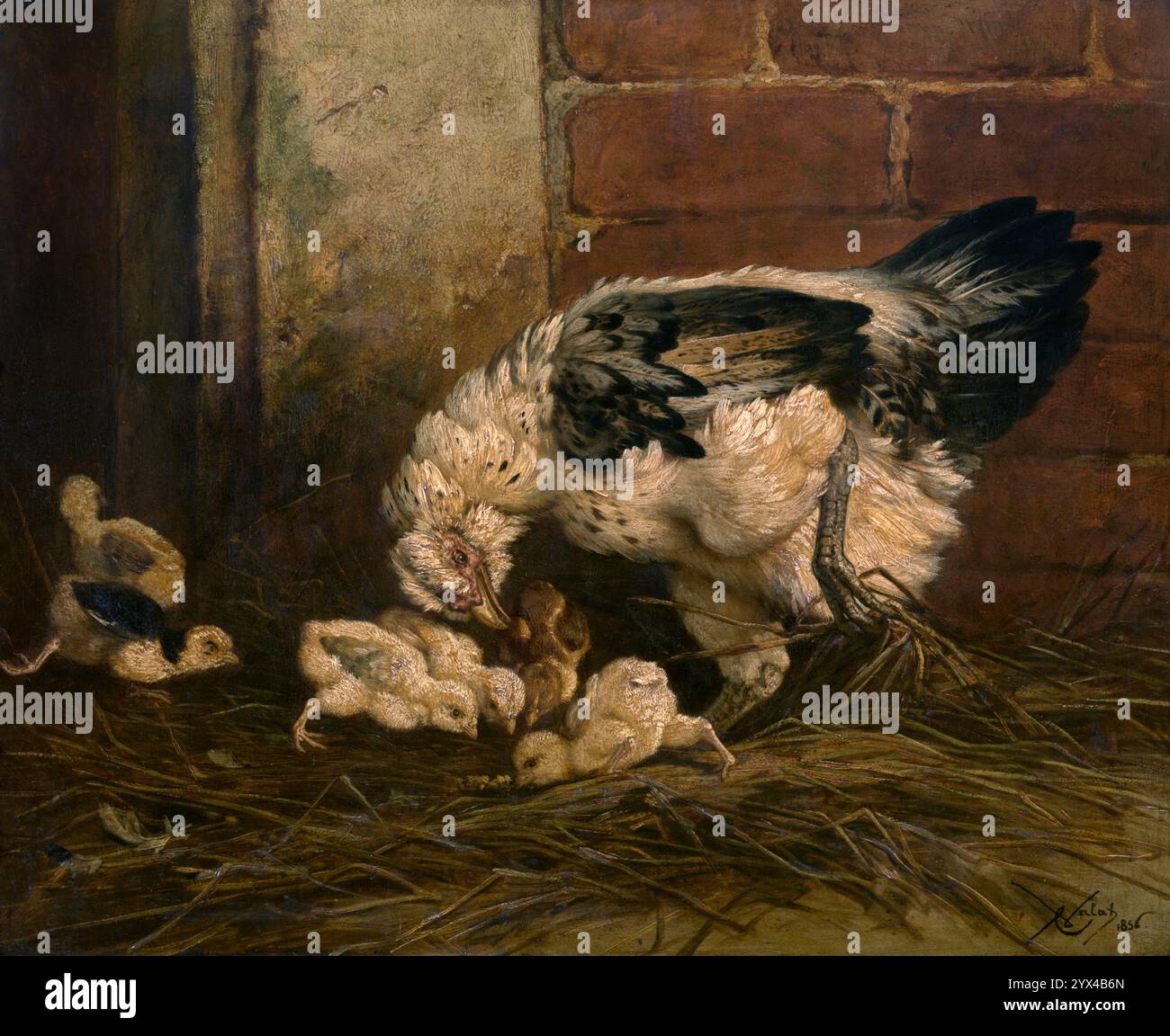 Hen with Chicken, 1856 Stock Photo - Alamy