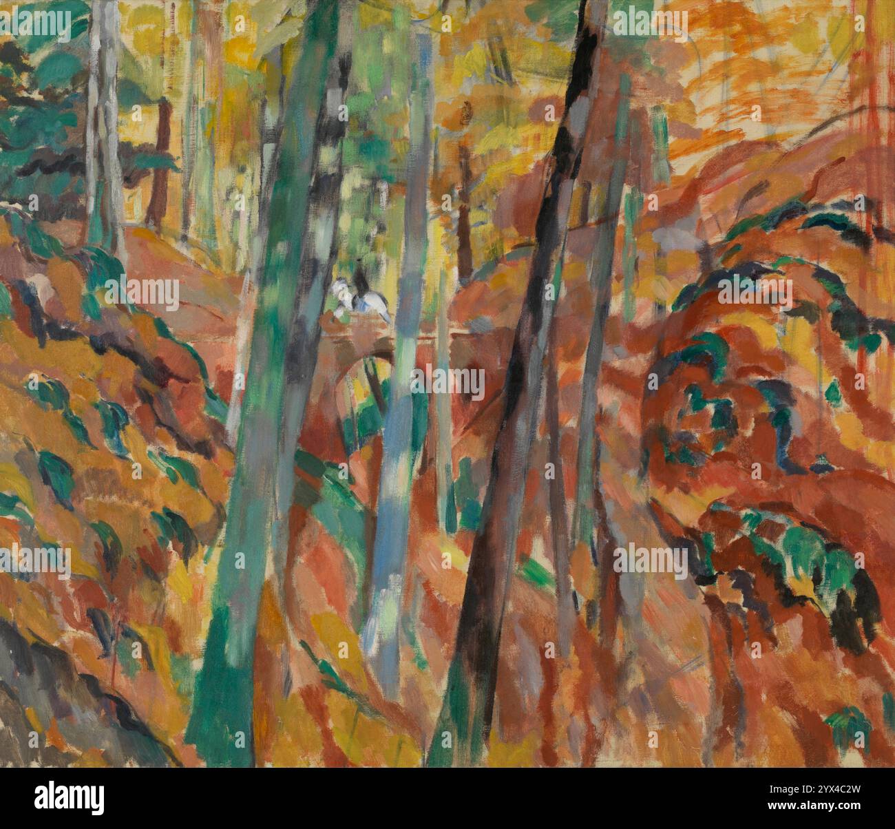 Ravine system hi-res stock photography and images - Alamy