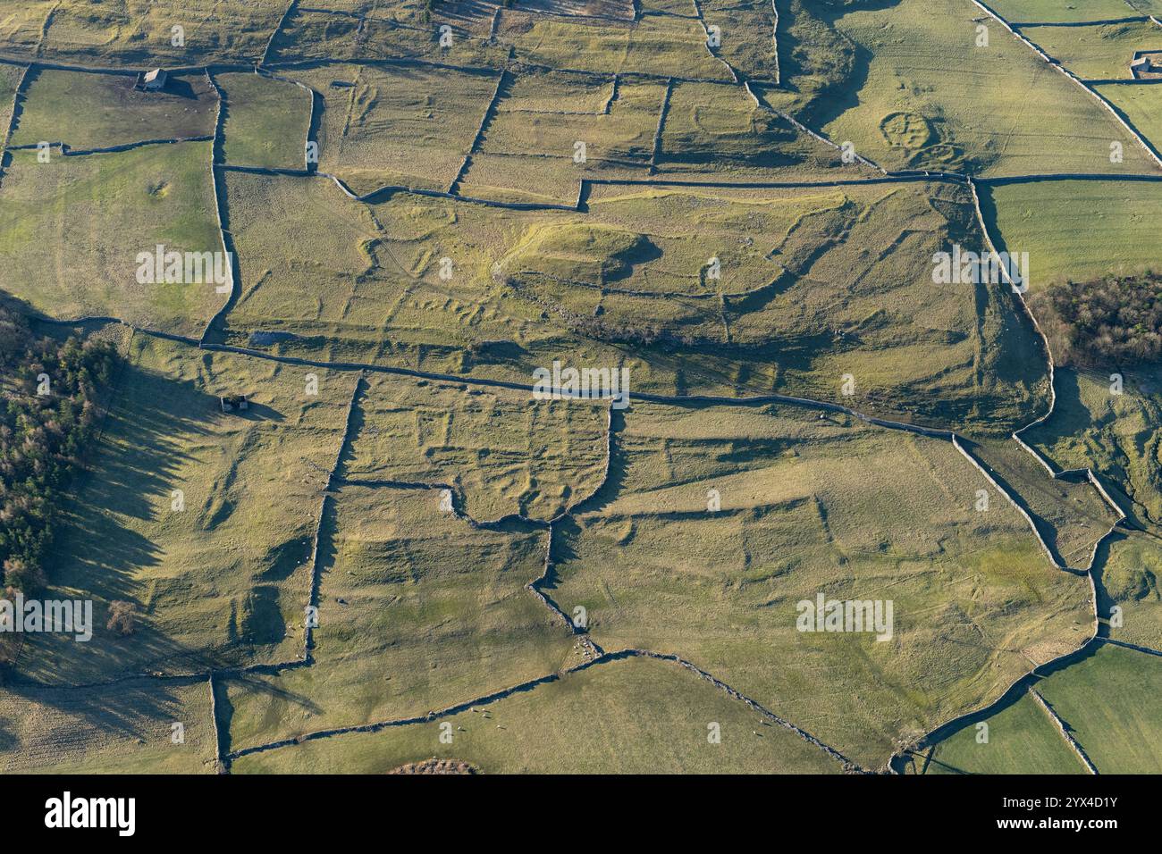 The earthwork remains of Iron Age, Romano-British and Medieval field ...