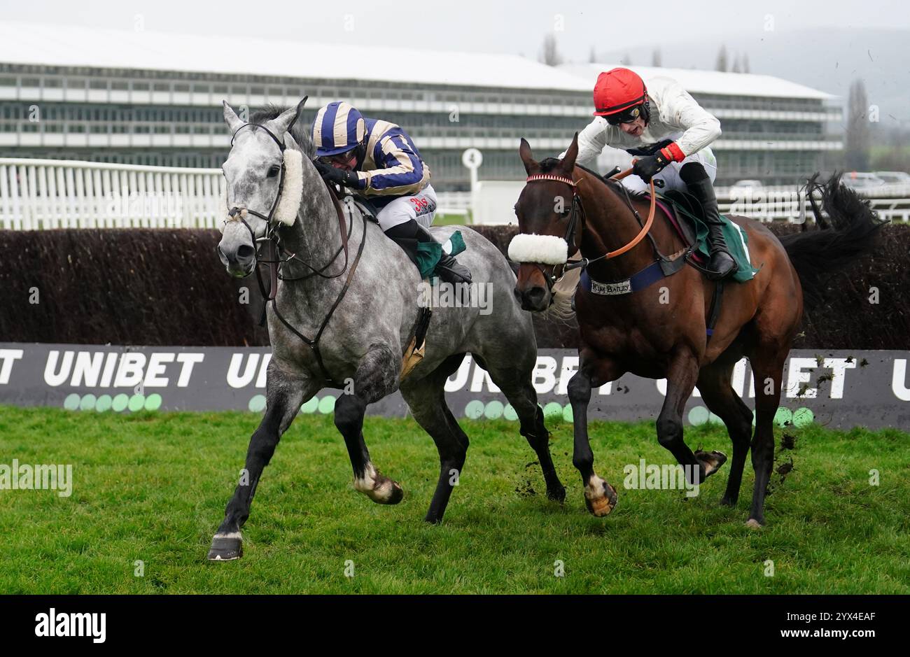 King turgeon cheltenham hi-res stock photography and images - Alamy