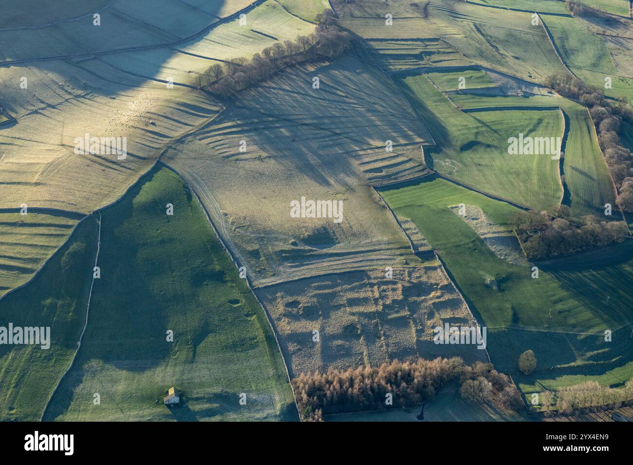 The earthwork remains of a medieval farmstead and field system near ...