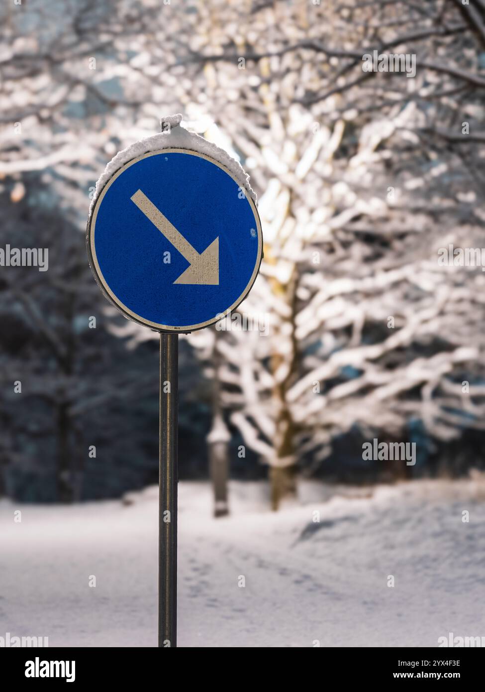 A blue directional sign with a white arrow stands in a snow-covered ...
