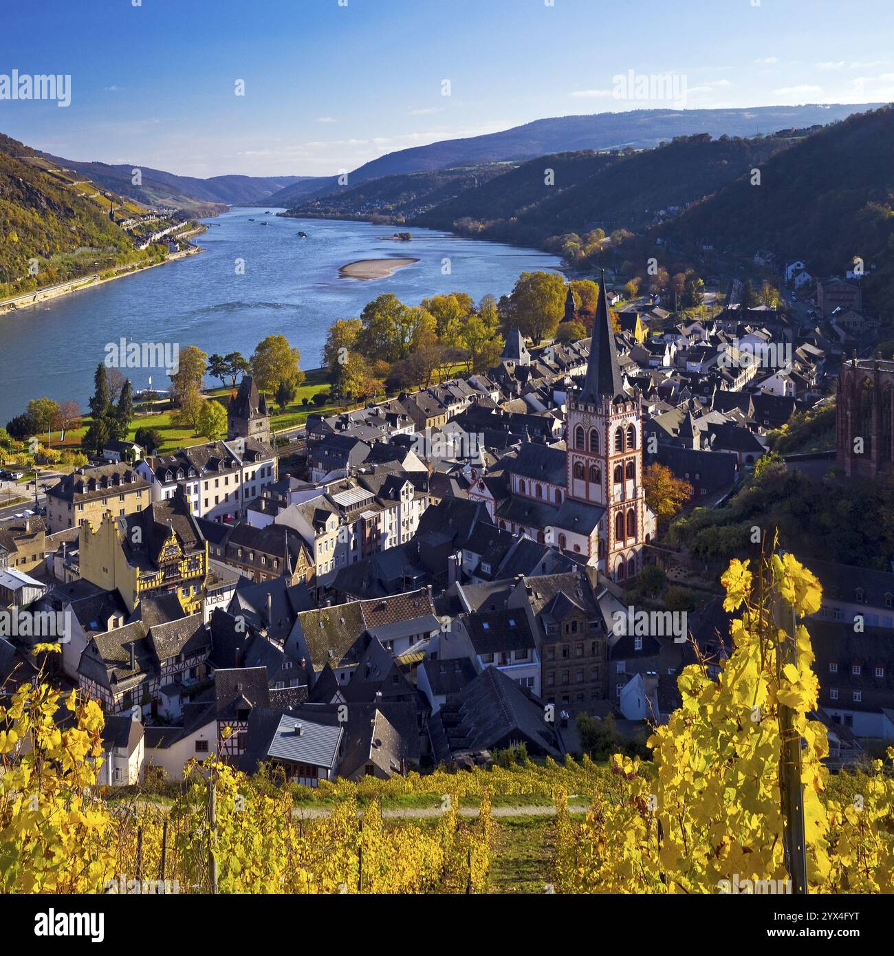 Autumn view of Bacharach on the Rhine with St. Peter's Church, UNESCO ...