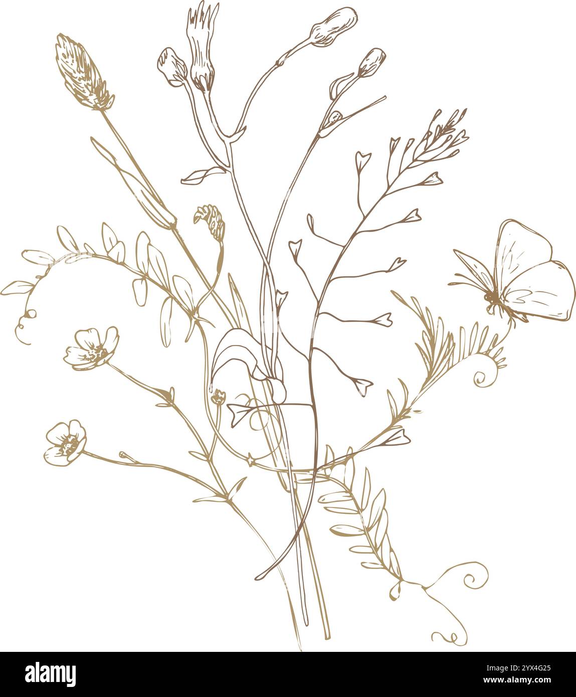 Buttercups in rural pasture Cut Out Stock Images & Pictures - Alamy