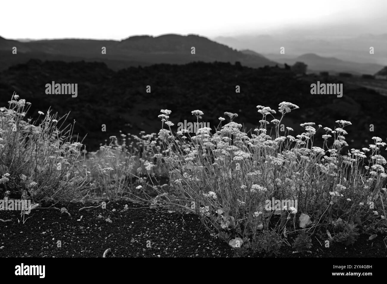 Eruption ash cloud etna Black and White Stock Photos & Images - Alamy