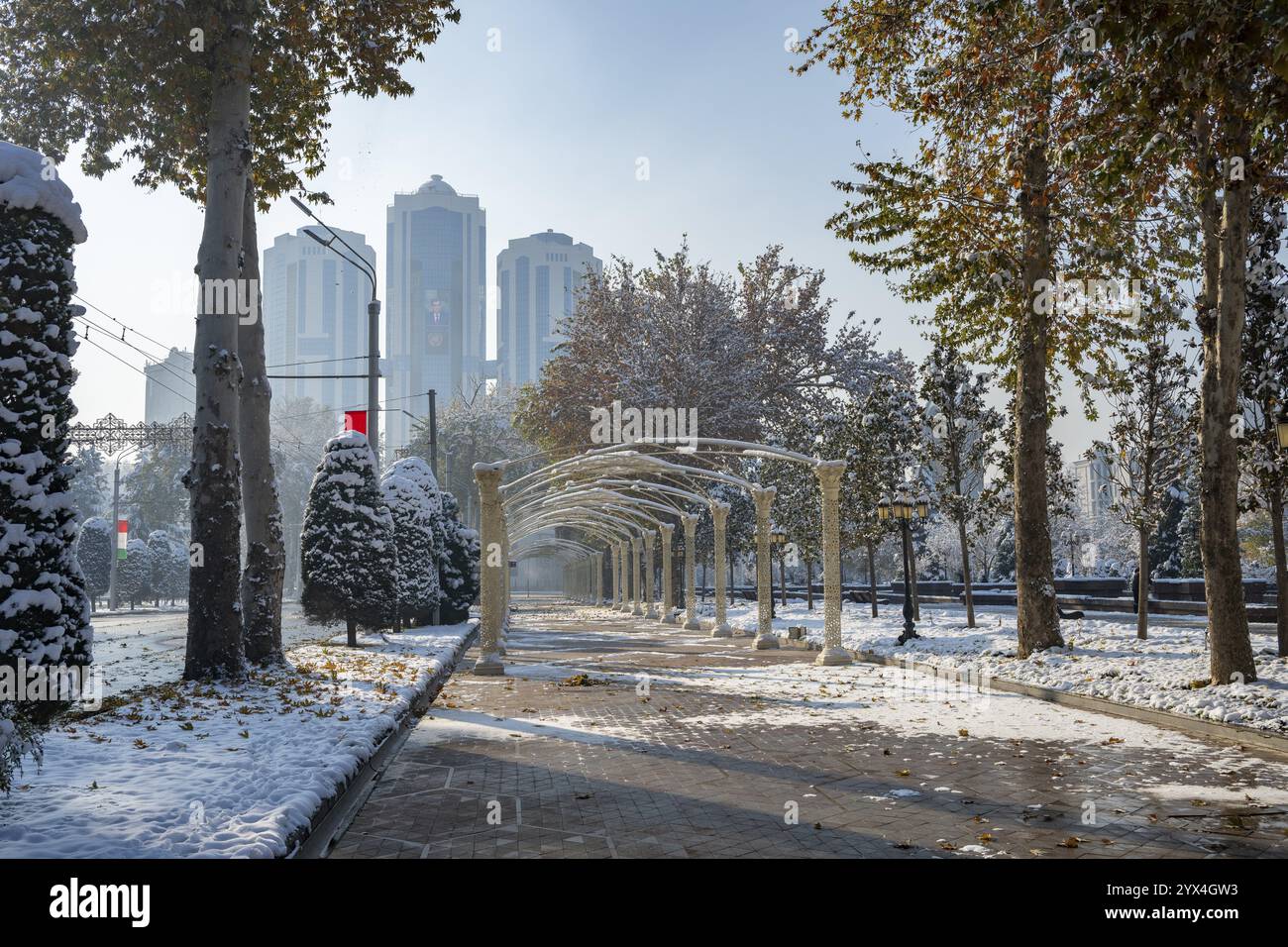 Winter scene with pavement and tree-lined avenue, Dushanbe, Tajikistan ...