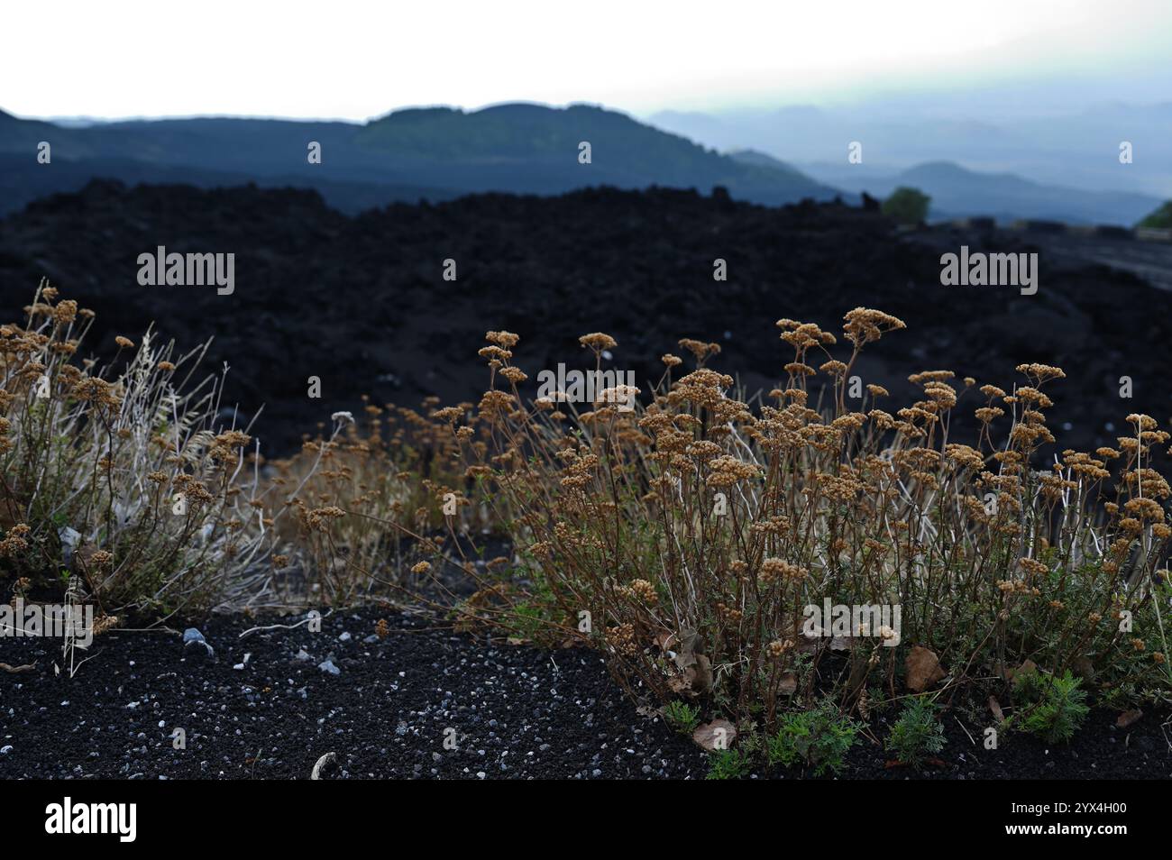 Volcanic Landscape on Mount Etna. Rocky volcanic terrain under a cloudy ...