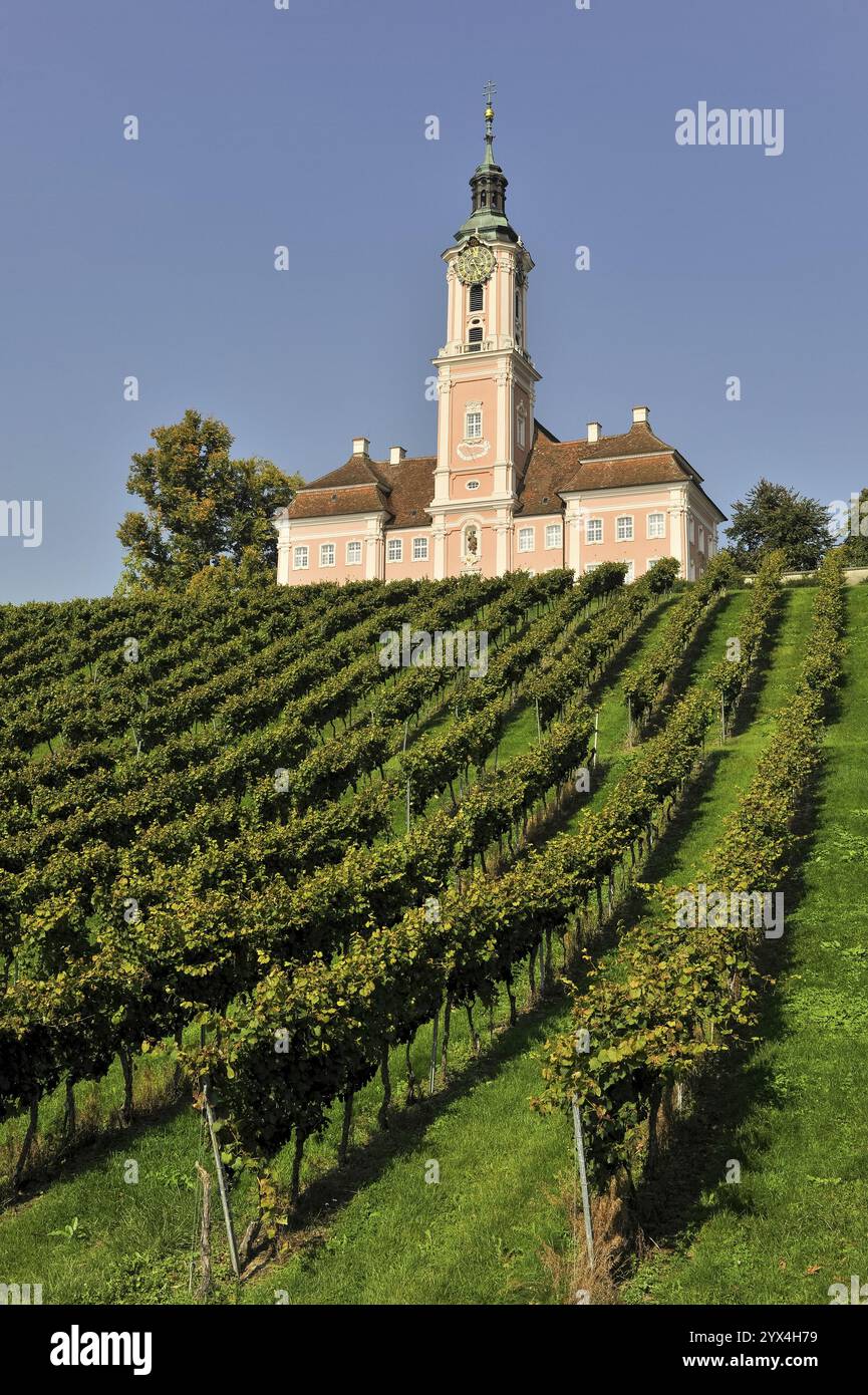 Baroque church overlooks a well-tended vineyard that thrives under a ...