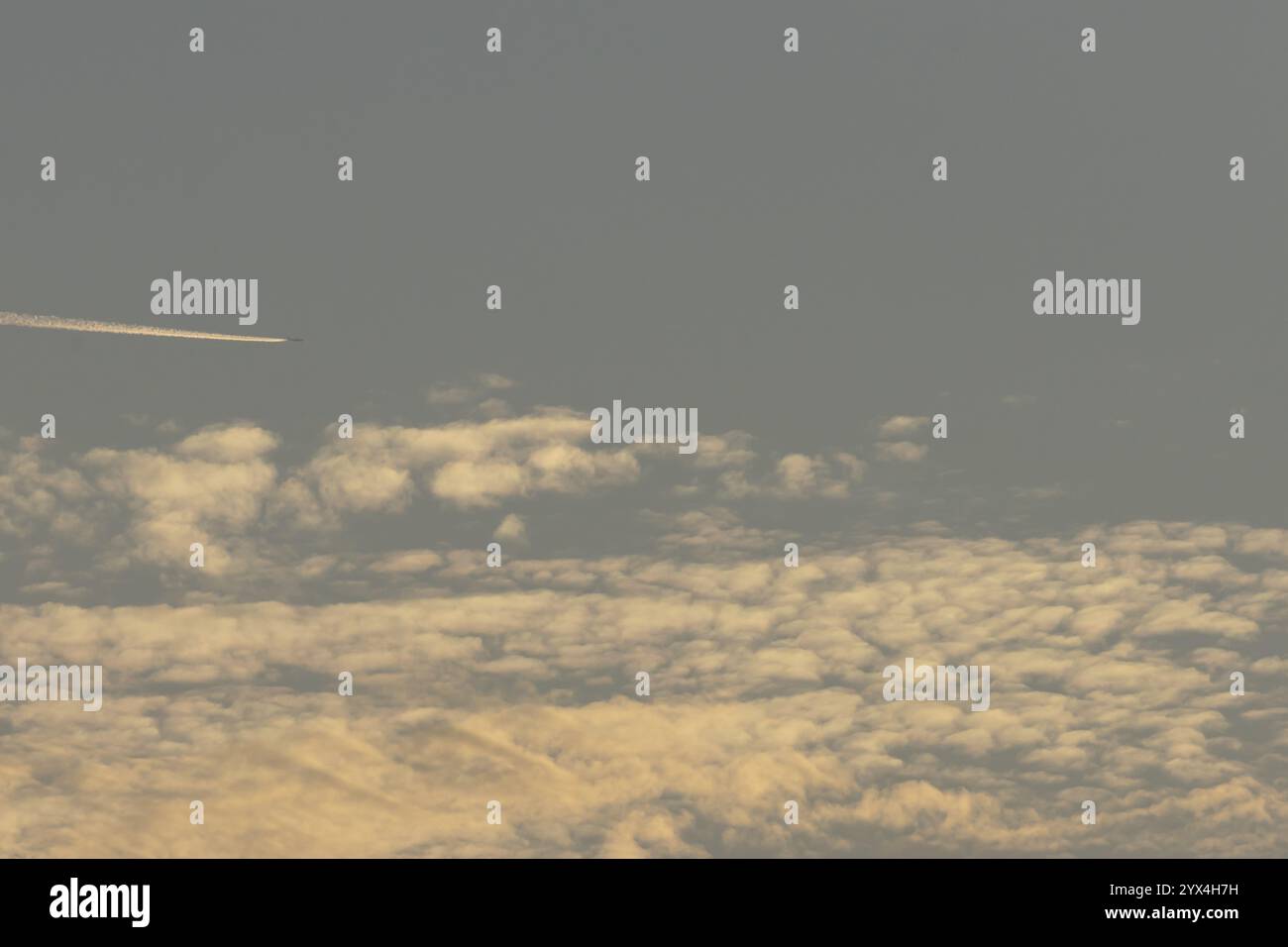 Airplane white contrail trails hi-res stock photography and images - Alamy